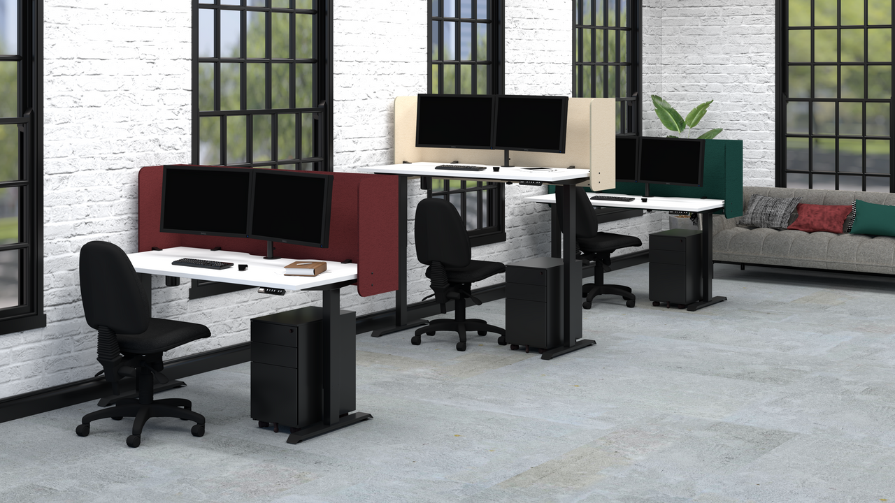 Sonic – Accent Group NZ Ltd