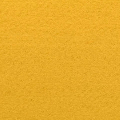 Sonic – Accent Group NZ Ltd